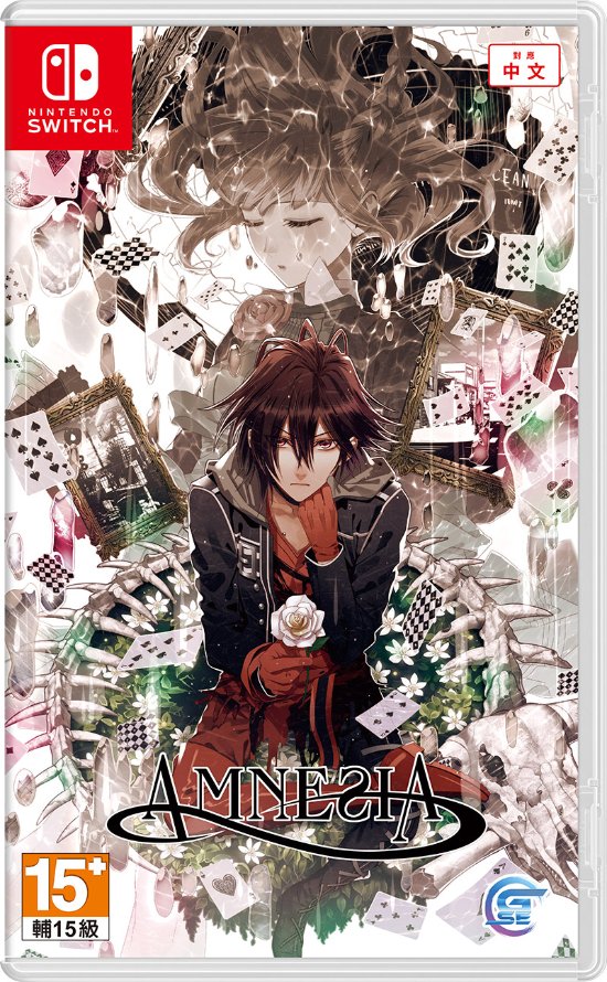 经典乙女游戏《失忆症Amnesia》世界观、系统及特色介绍 4月8日上线NS 梦电游戏 nd15.com